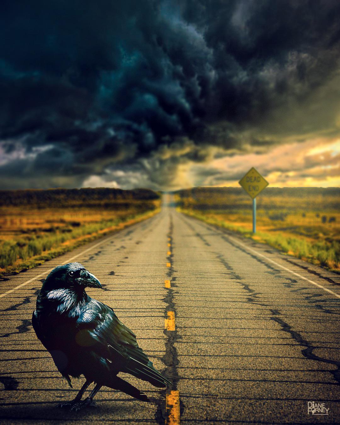 Dead End Wallpapers - Top Free Dead End Backgrounds - WallpaperAccess