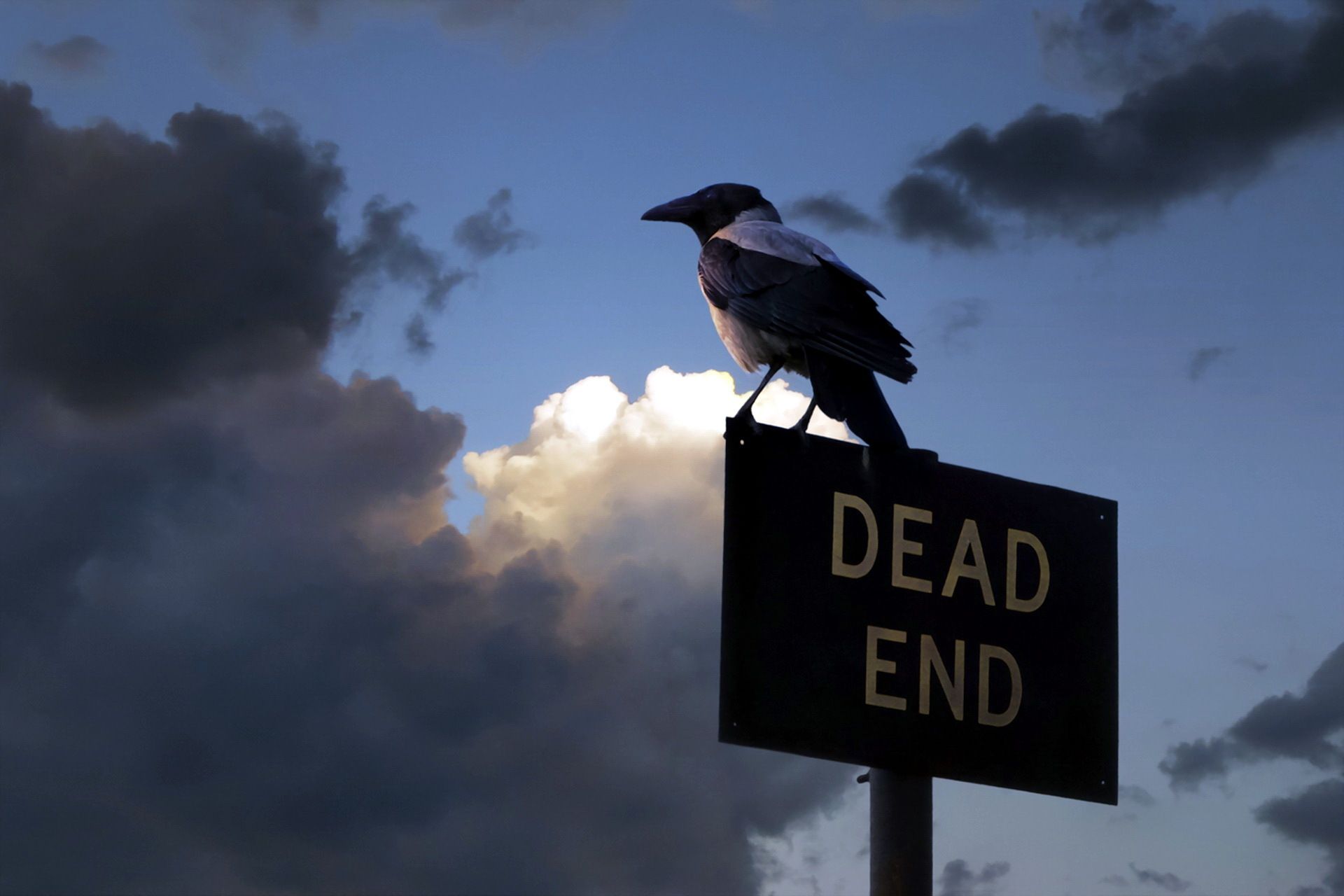Dead End Wallpapers - Top Free Dead End Backgrounds - WallpaperAccess