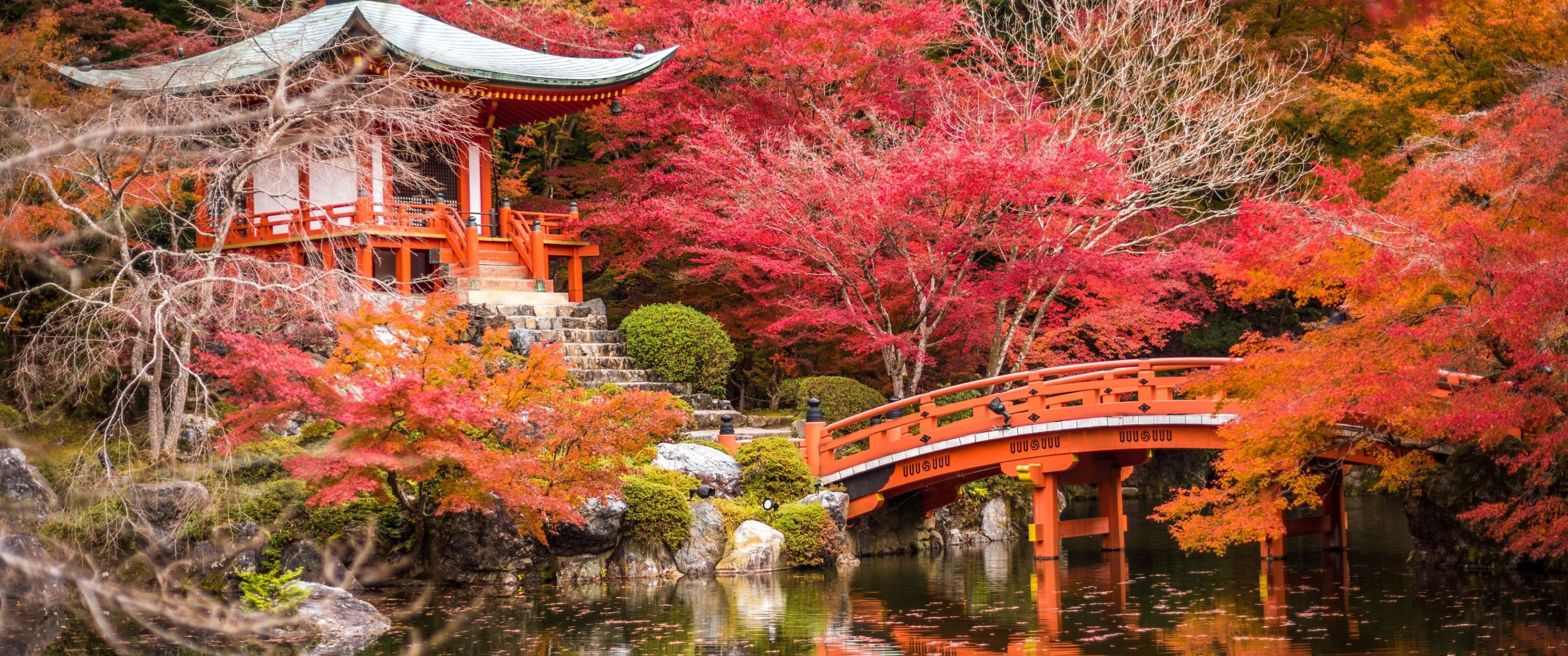 3440x1440 Japan Wallpapers - Top Free 3440x1440 Japan Backgrounds ...