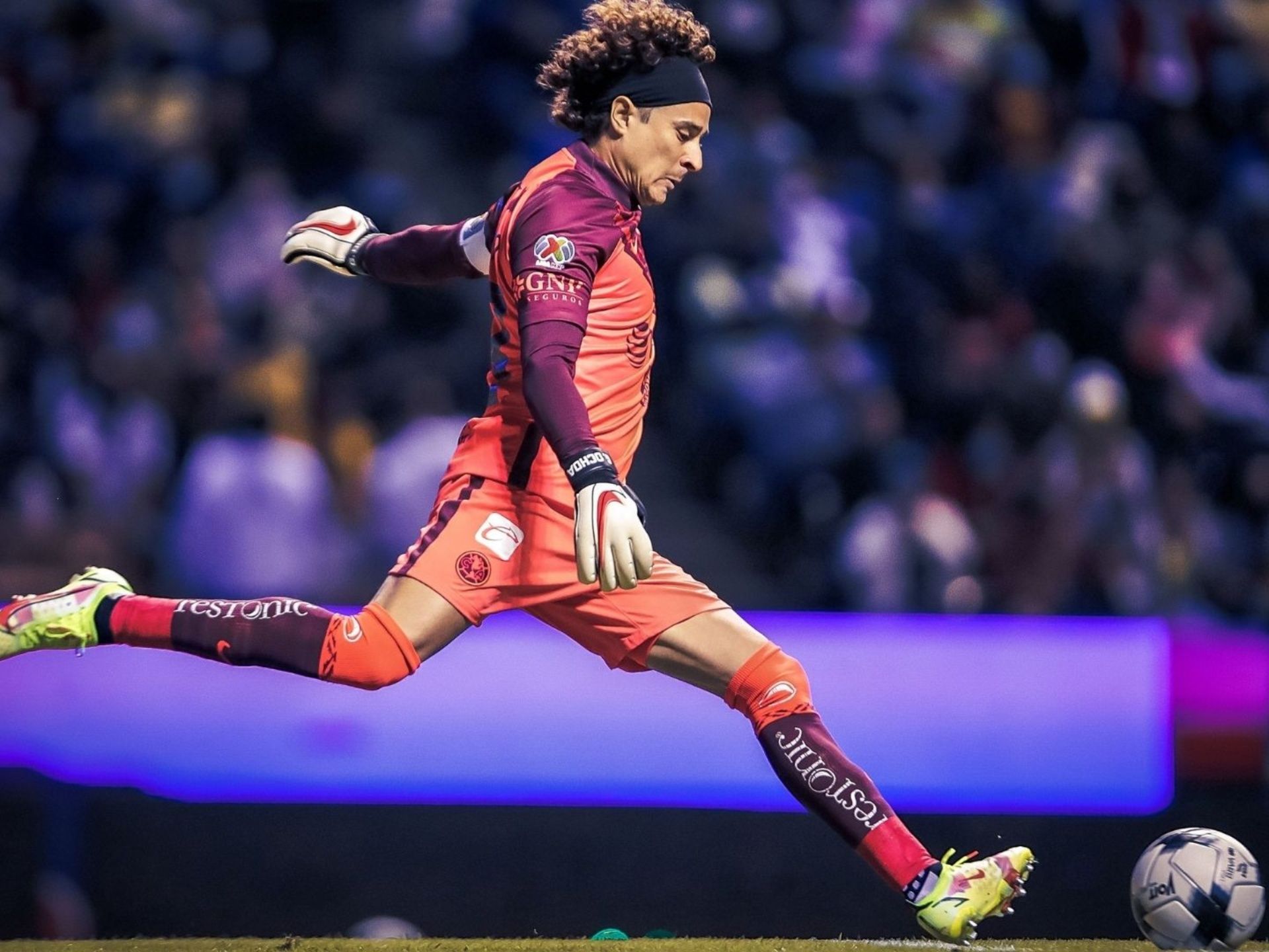 Memo Ochoa Wallpapers - Top Free Memo Ochoa Backgrounds - WallpaperAccess