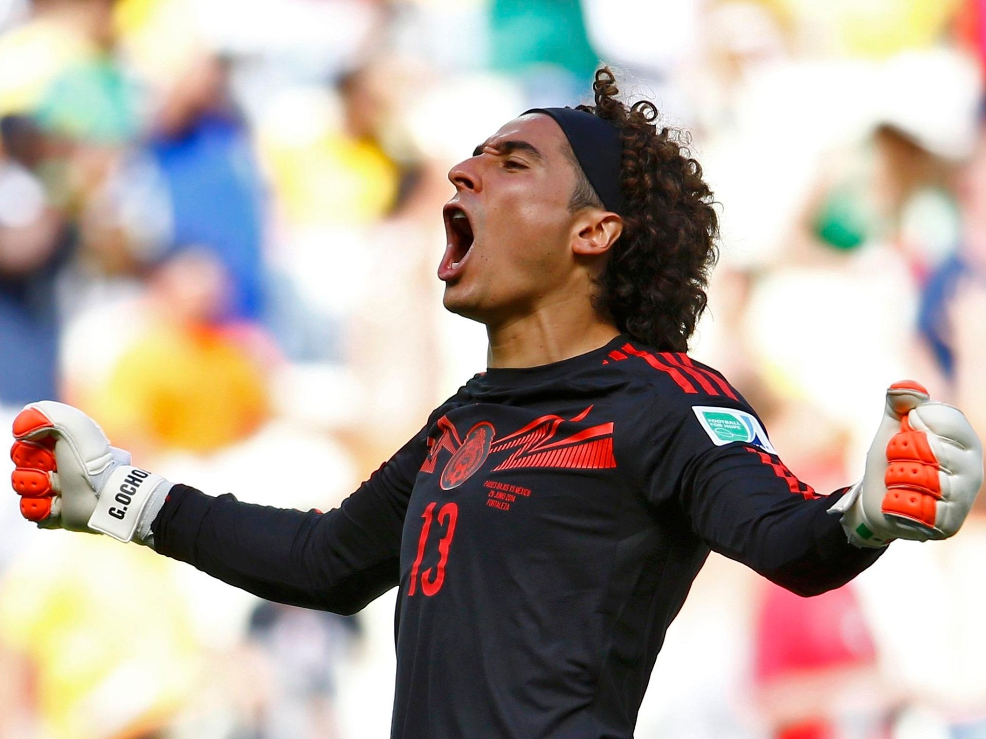 Memo Ochoa Wallpapers - Top Free Memo Ochoa Backgrounds - WallpaperAccess