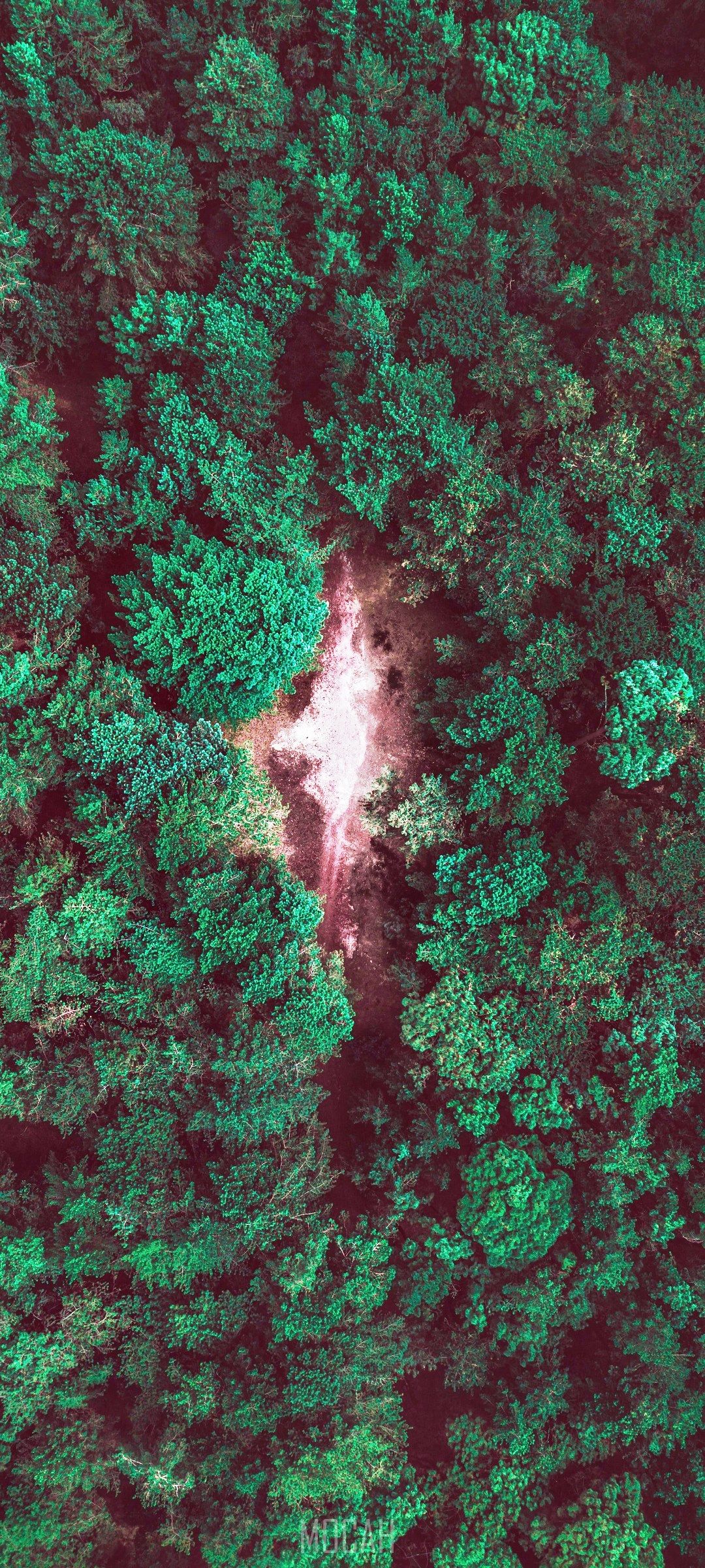 Samsung Galaxy S20 FE Wallpapers - Top Free Samsung Galaxy S20 FE ...