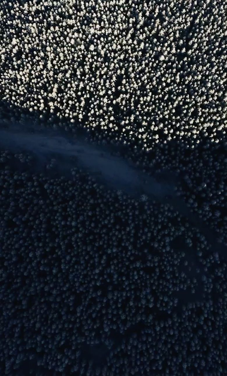 Massimo Dutti Wallpapers - Top Free Massimo Dutti Backgrounds ...