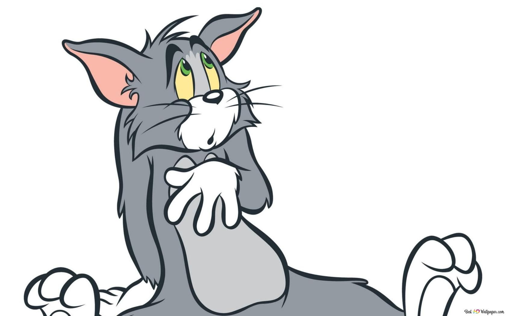 Sad Tom Wallpapers - Top Free Sad Tom Backgrounds - WallpaperAccess