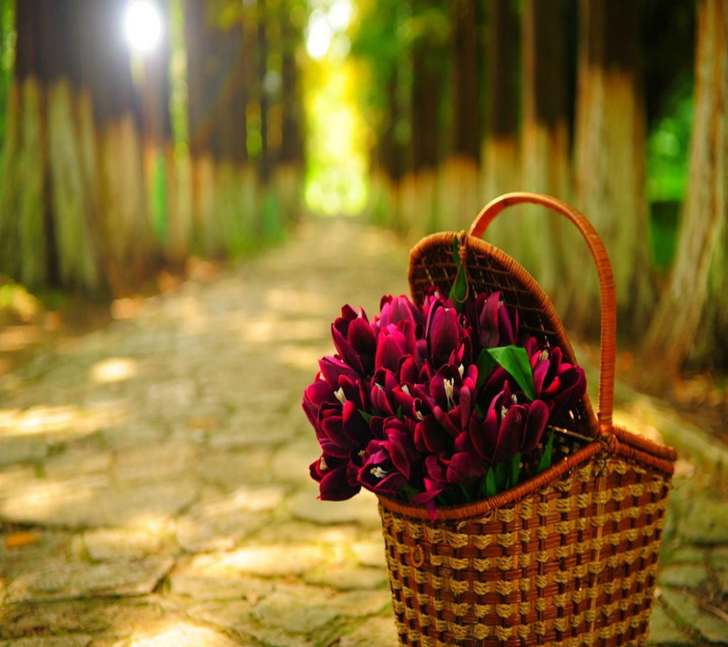 Flower Basket Wallpapers - Top Free Flower Basket Backgrounds ...