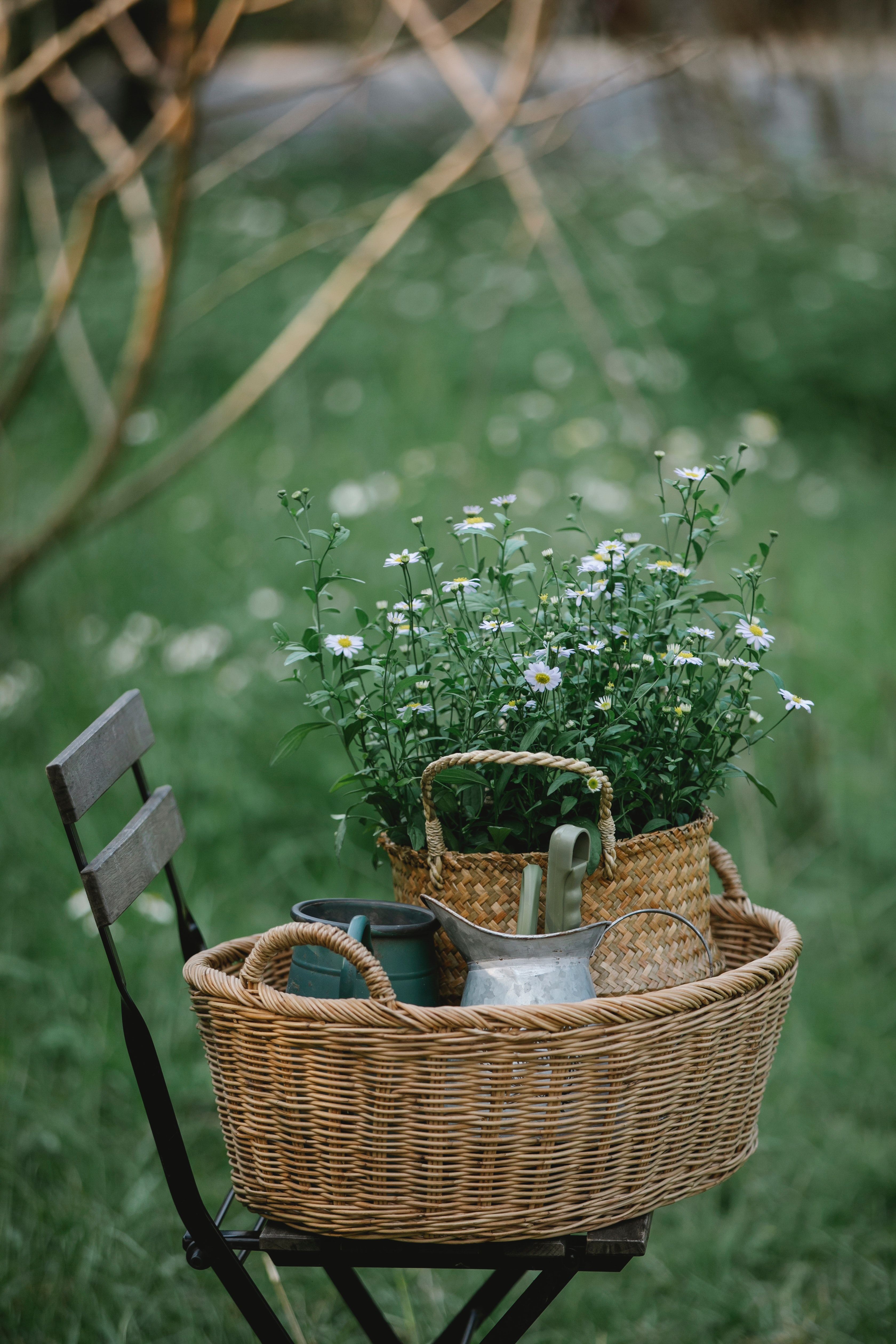 Flower Basket Wallpapers - Top Free Flower Basket Backgrounds ...