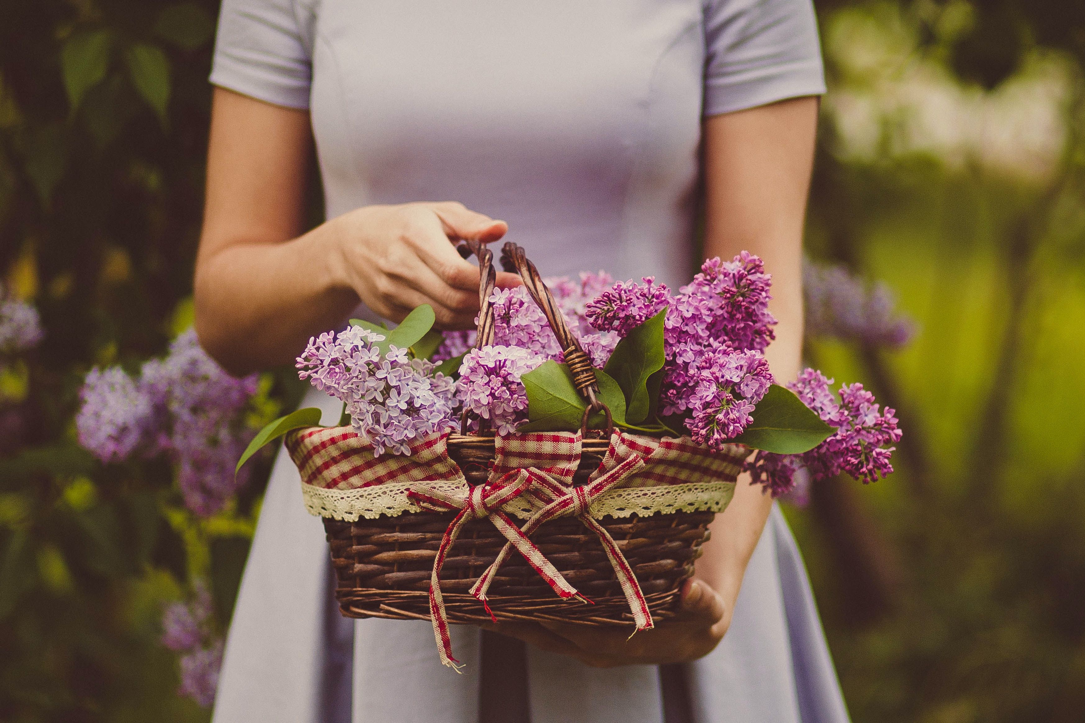 Flower Basket Wallpapers - Top Free Flower Basket Backgrounds ...
