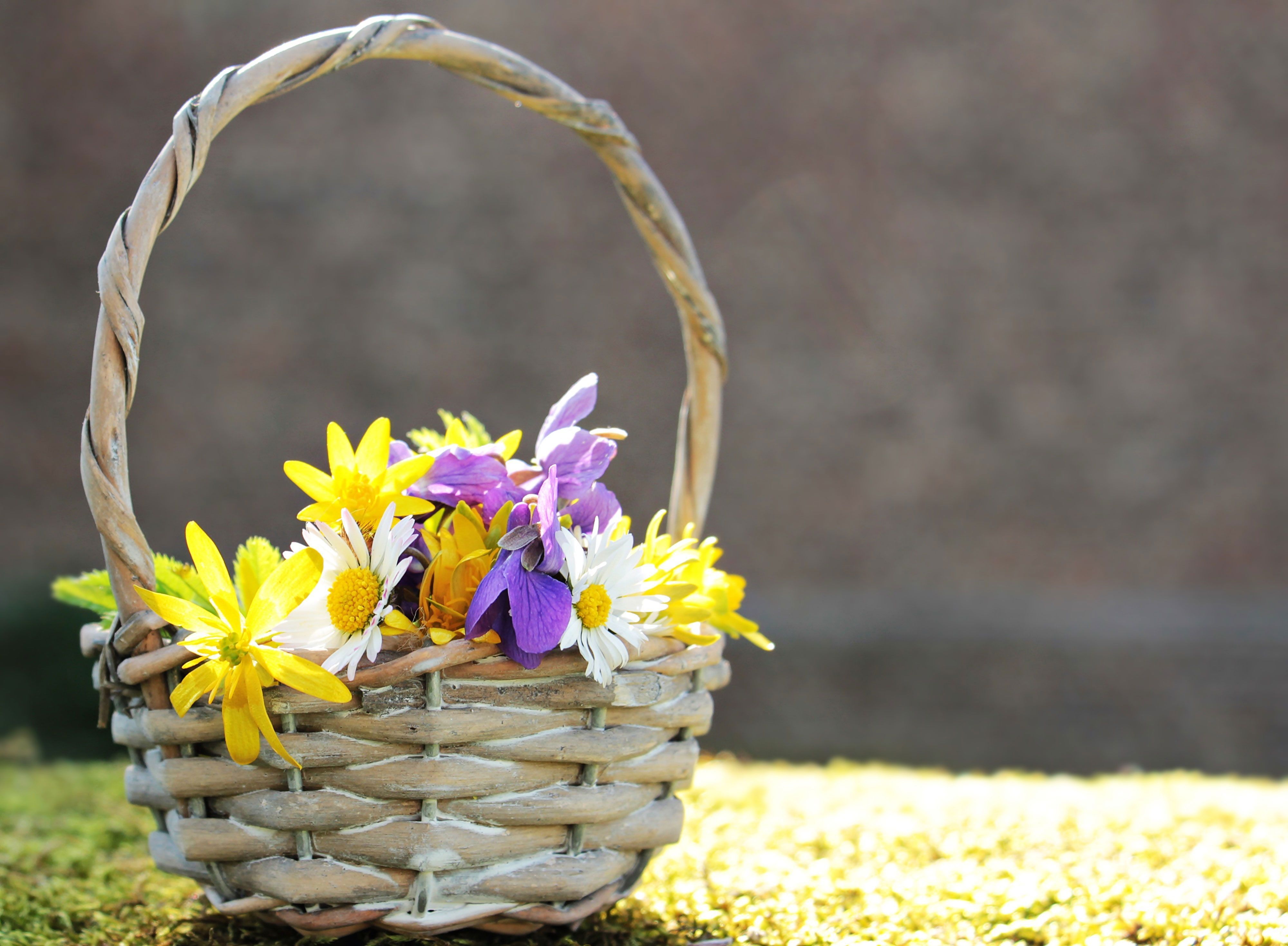 Flower Basket Wallpapers - Top Free Flower Basket Backgrounds ...