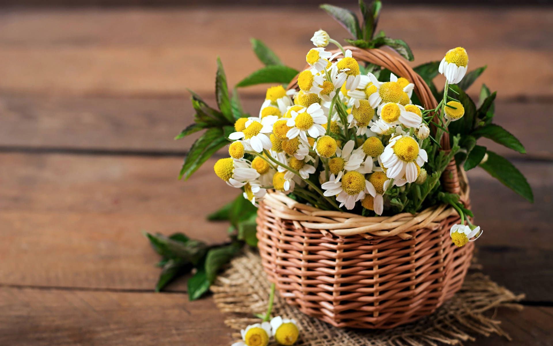 Flower Basket Wallpapers - Top Free Flower Basket Backgrounds ...