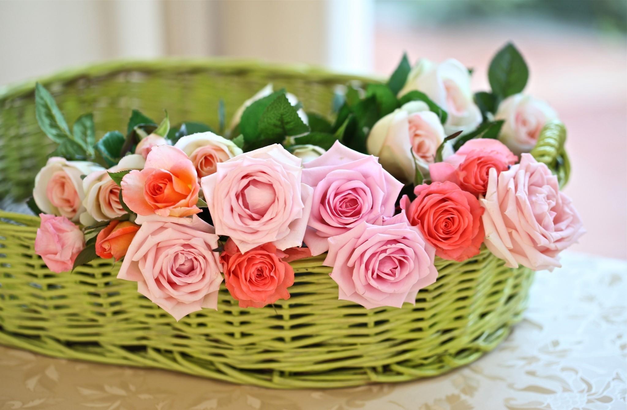 Flower Basket Wallpapers - Top Free Flower Basket Backgrounds ...