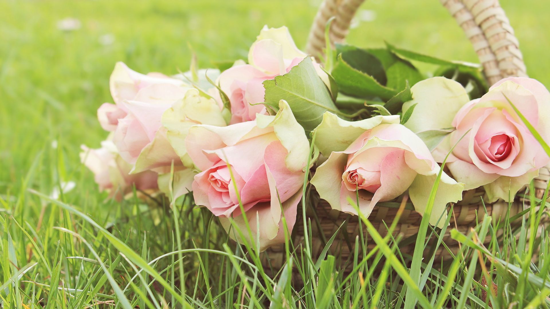 Flower Basket Wallpapers - Top Free Flower Basket Backgrounds ...