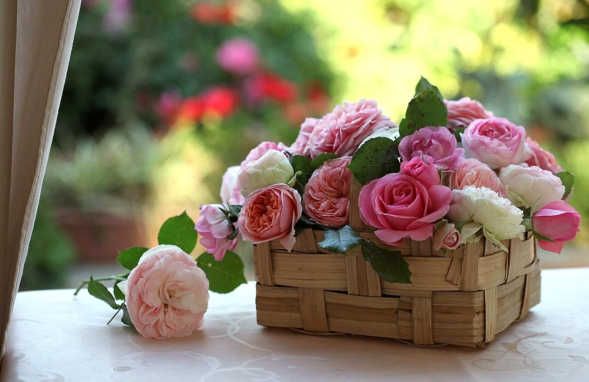 Flower Basket Wallpapers - Top Free Flower Basket Backgrounds ...