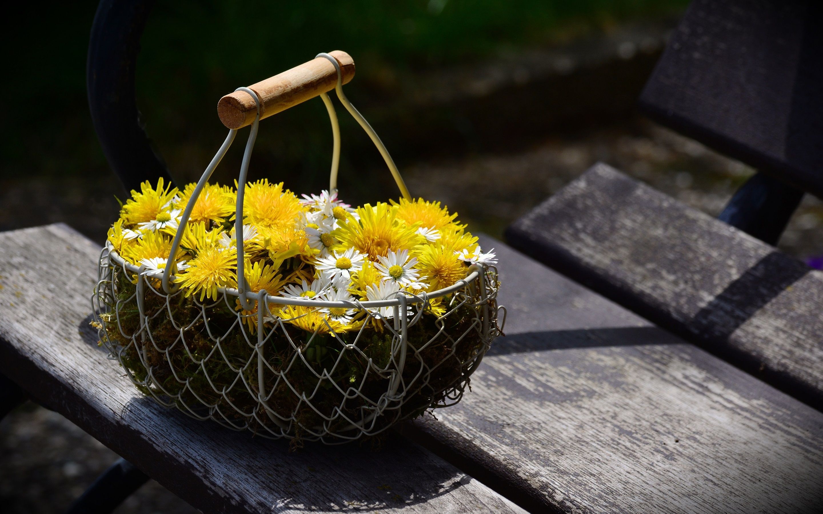Flower Basket Wallpapers - Top Free Flower Basket Backgrounds ...