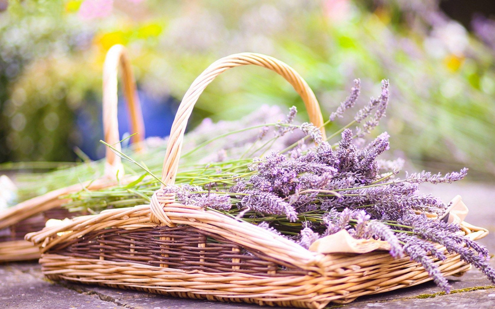 Flower Basket Wallpapers - Top Free Flower Basket Backgrounds ...