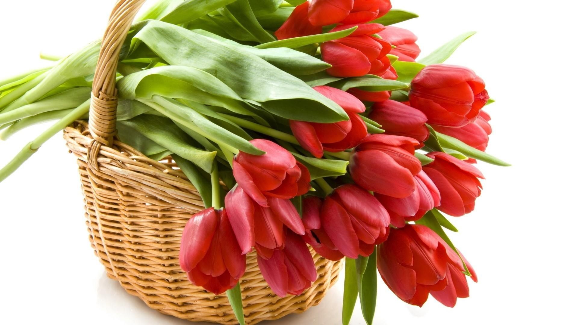 Flower Basket Wallpapers - Top Free Flower Basket Backgrounds ...