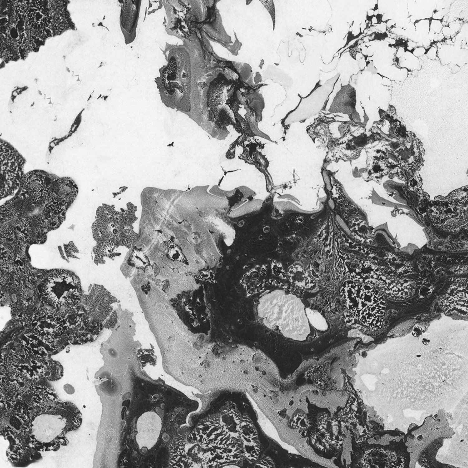 1500x1500 Wallpapers - Top Free 1500x1500 Backgrounds - WallpaperAccess