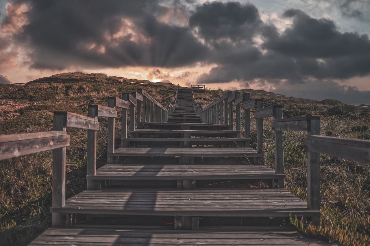 Catwalk Wallpapers - Top Free Catwalk Backgrounds - WallpaperAccess