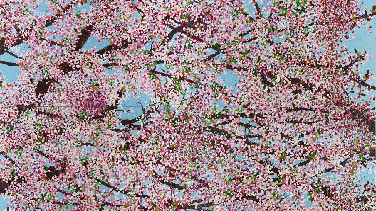 Damien Hirst Wallpapers - Top Free Damien Hirst Backgrounds ... Damien Hirst Wallpapers - Top Free Damien Hirst Backgrounds ...