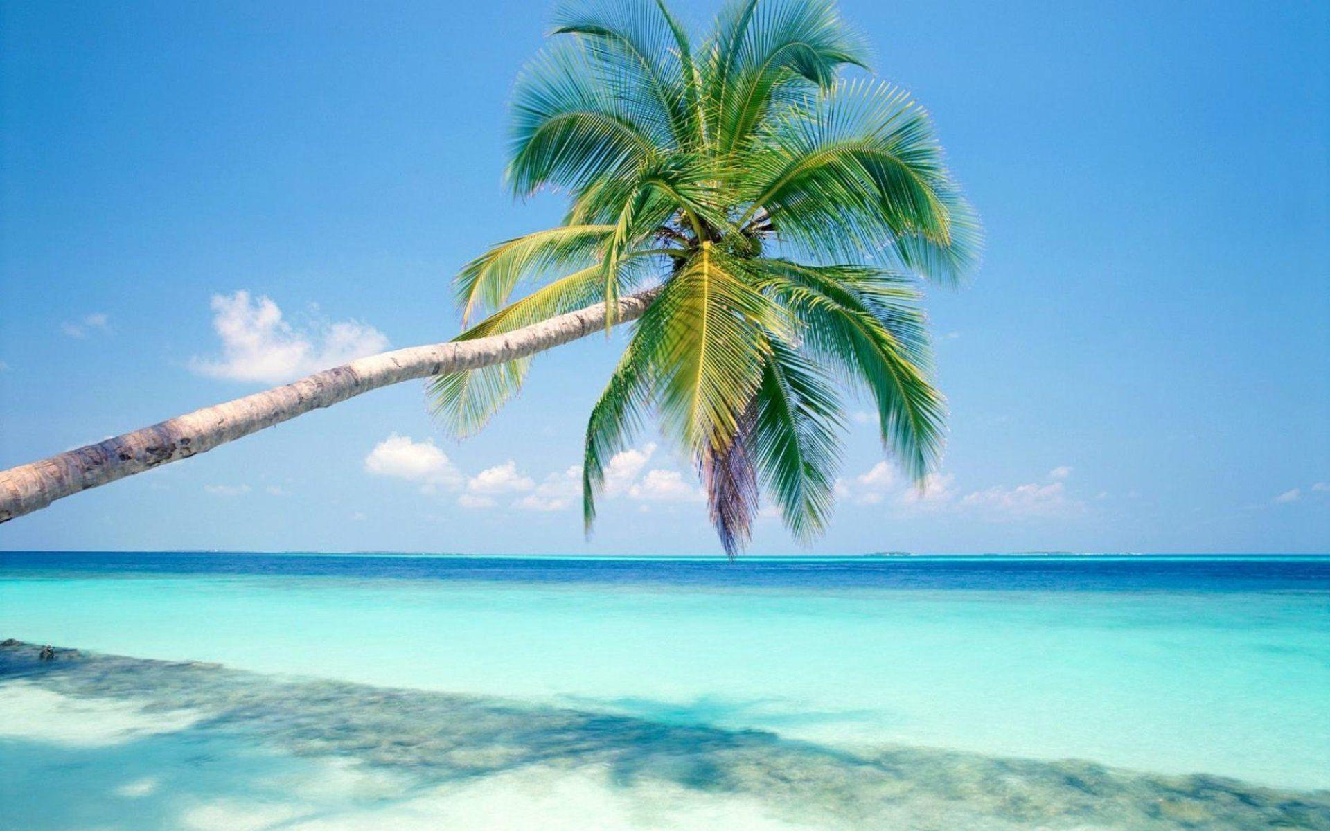 St. Thomas Wallpapers - Top Free St. Thomas Backgrounds - WallpaperAccess