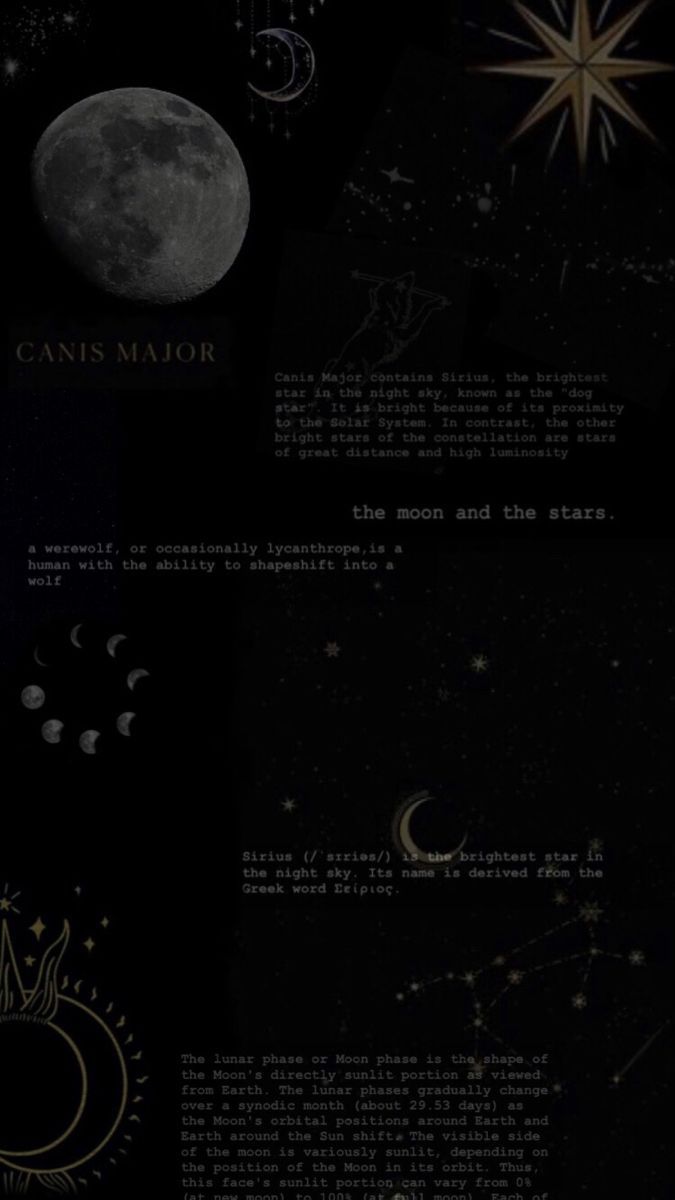 Wolfstar Wallpapers - Top Free Wolfstar Backgrounds - WallpaperAccess