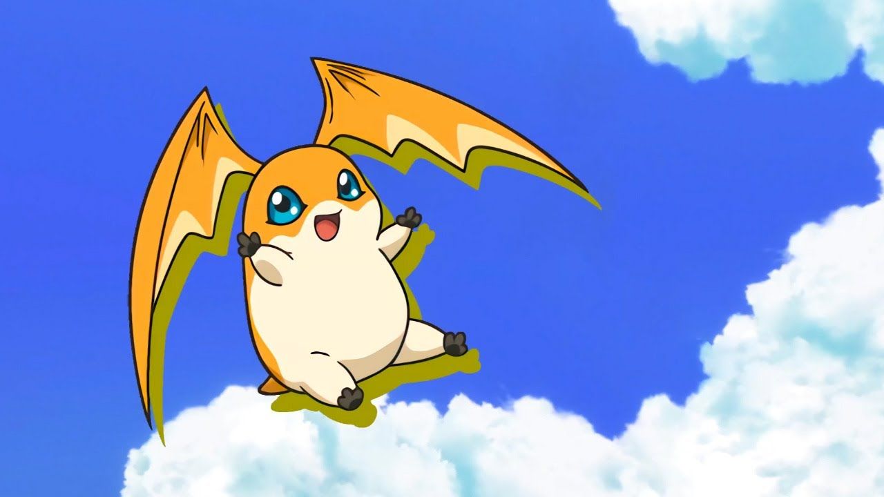 Patamon Wallpapers - Top Free Patamon Backgrounds - WallpaperAccess