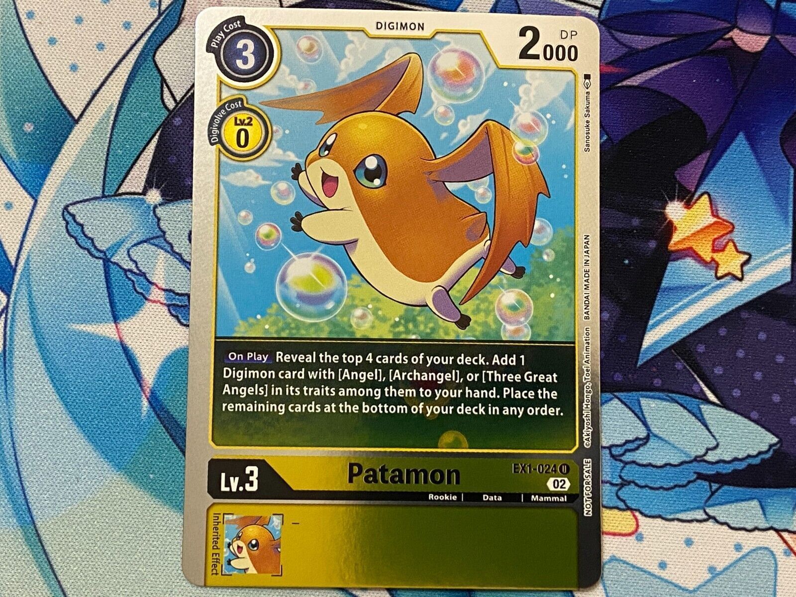 Patamon Wallpapers - Top Free Patamon Backgrounds - WallpaperAccess