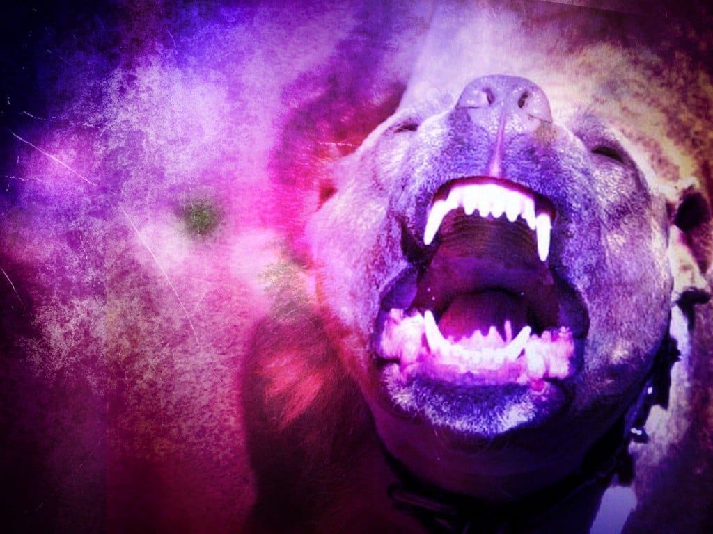 John Martin Wallpapers - Top Free John Martin Backgrounds - WallpaperAccess