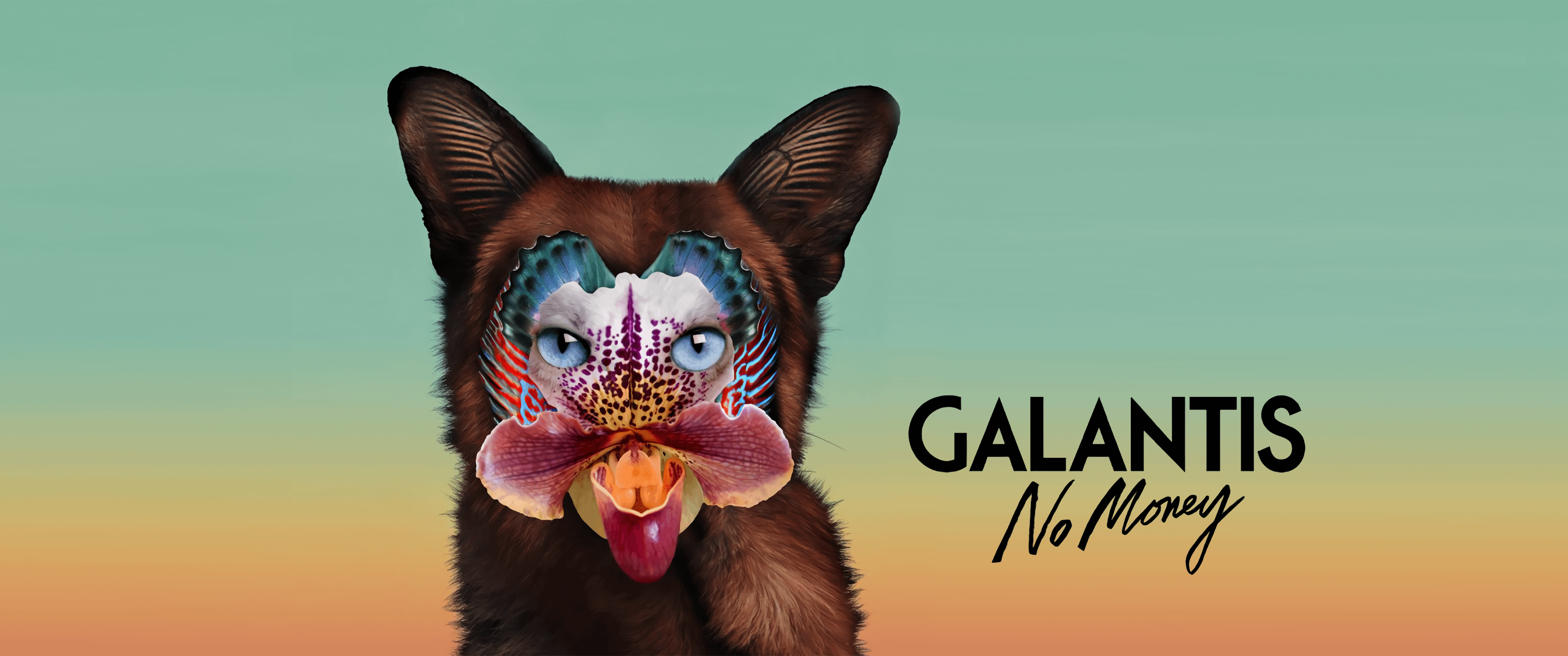 Galantis Wallpapers - Top Free Galantis Backgrounds - WallpaperAccess