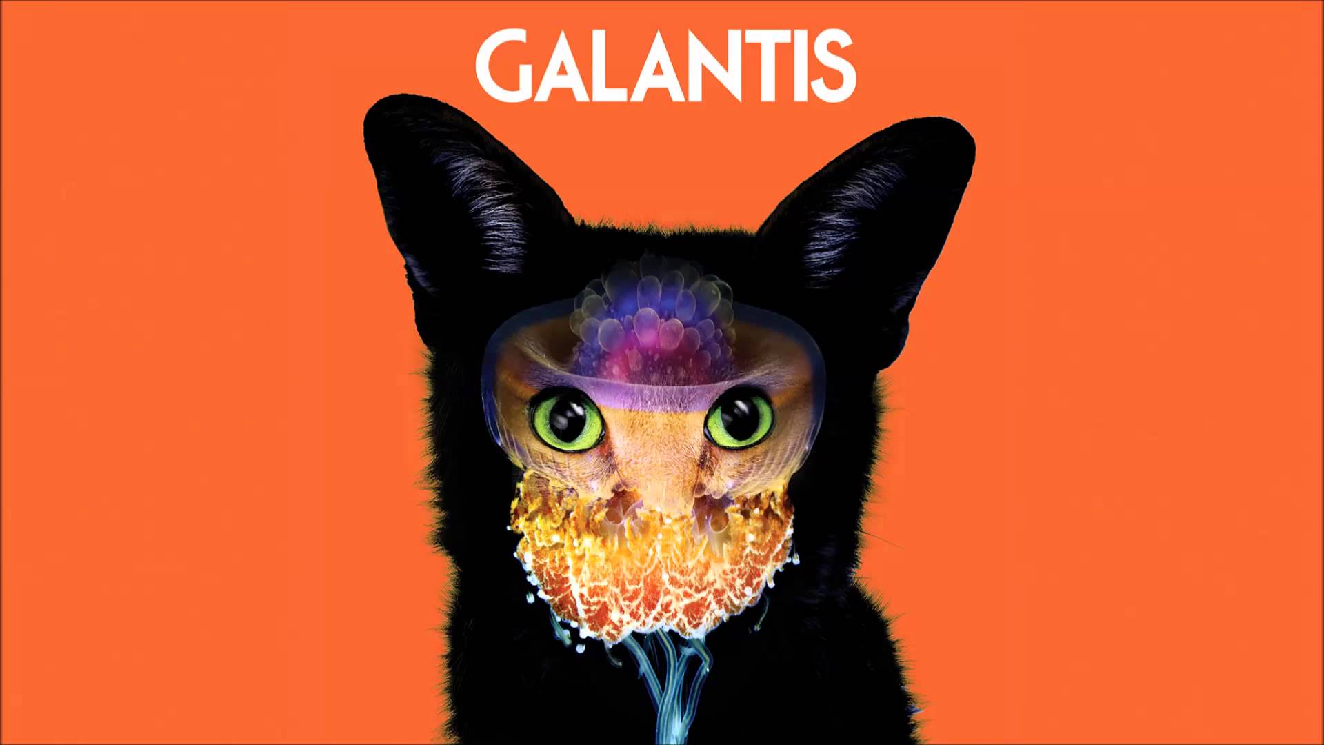 Galantis Wallpapers - Top Free Galantis Backgrounds - WallpaperAccess