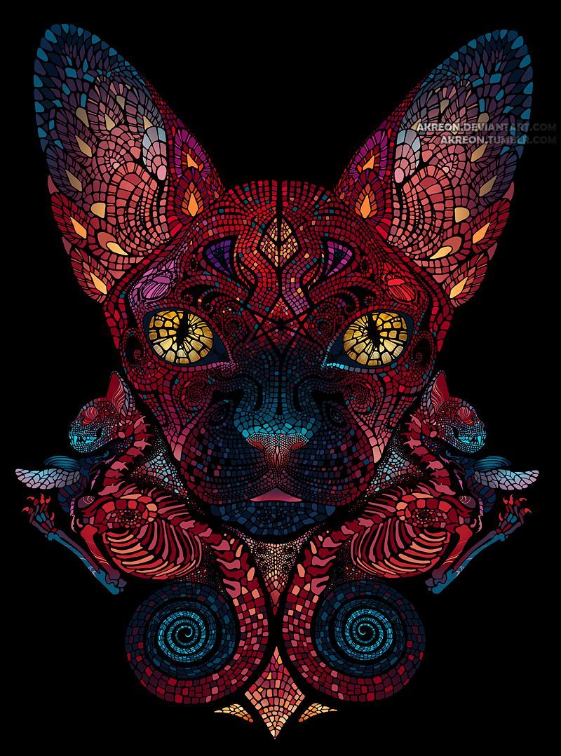 Galantis Wallpapers - Top Free Galantis Backgrounds - WallpaperAccess
