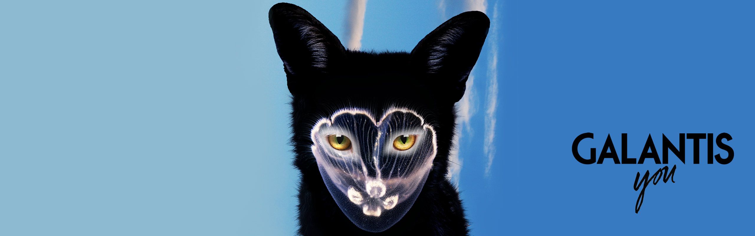 Galantis Wallpapers - Top Free Galantis Backgrounds - WallpaperAccess