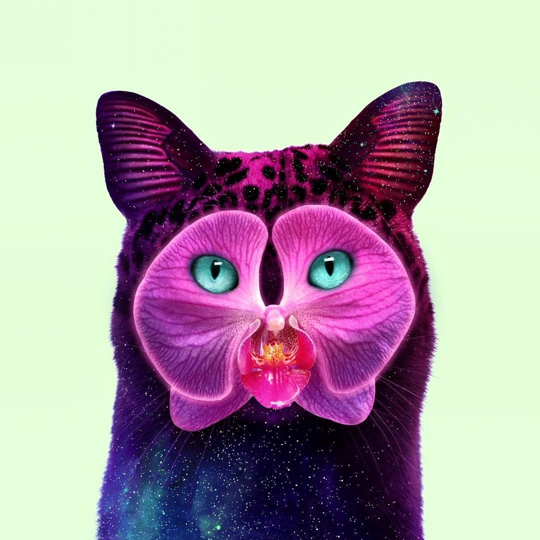 Galantis Wallpapers - Top Free Galantis Backgrounds - WallpaperAccess