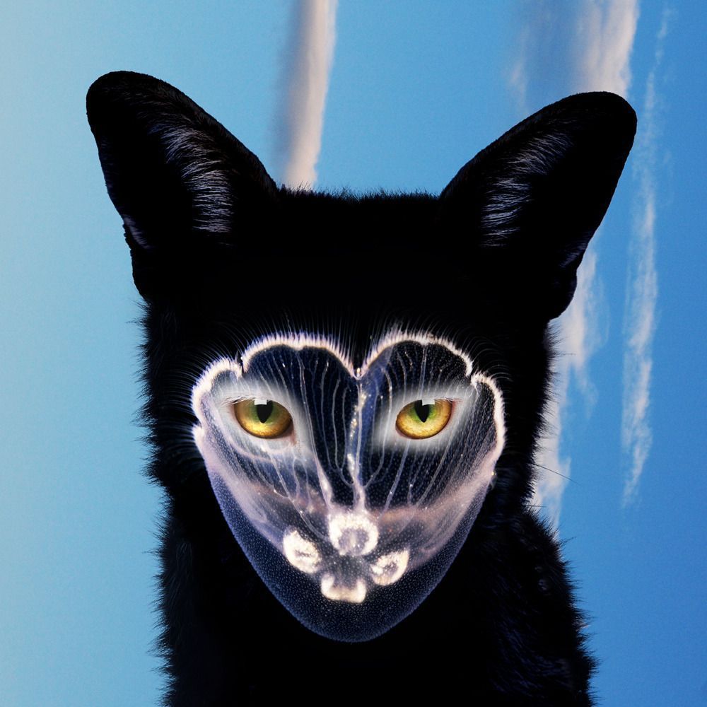 Galantis Wallpapers - Top Free Galantis Backgrounds - WallpaperAccess