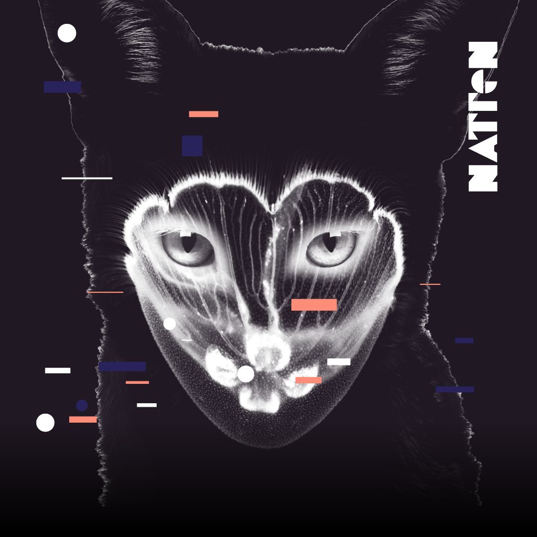 Galantis Wallpapers - Top Free Galantis Backgrounds - WallpaperAccess