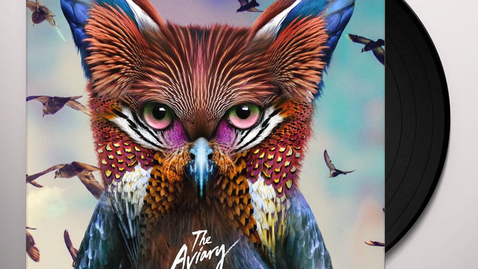 Galantis Wallpapers - Top Free Galantis Backgrounds - WallpaperAccess