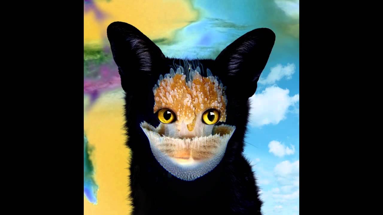 Galantis Wallpapers - Top Free Galantis Backgrounds - WallpaperAccess