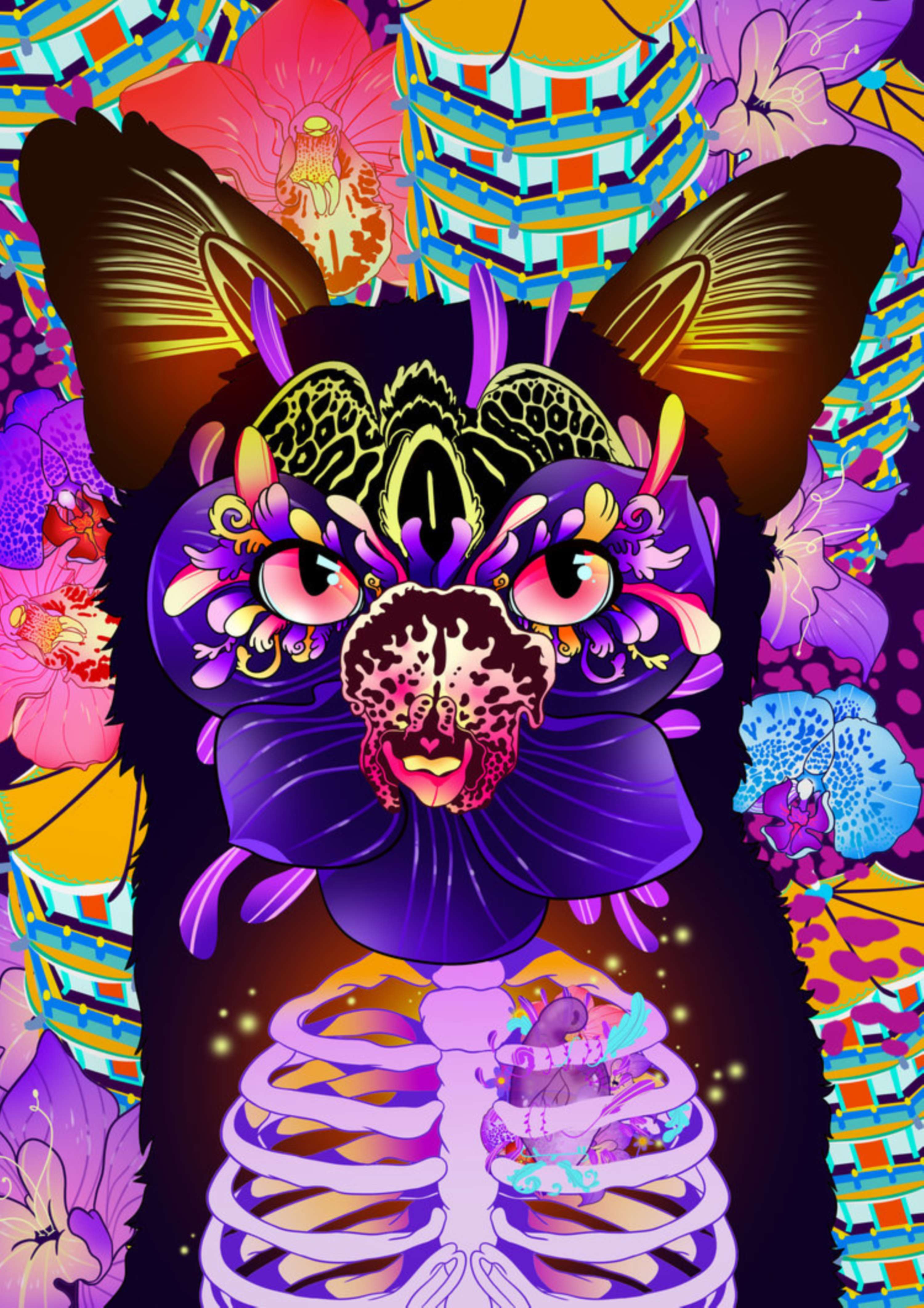 Galantis Wallpapers - Top Free Galantis Backgrounds - WallpaperAccess