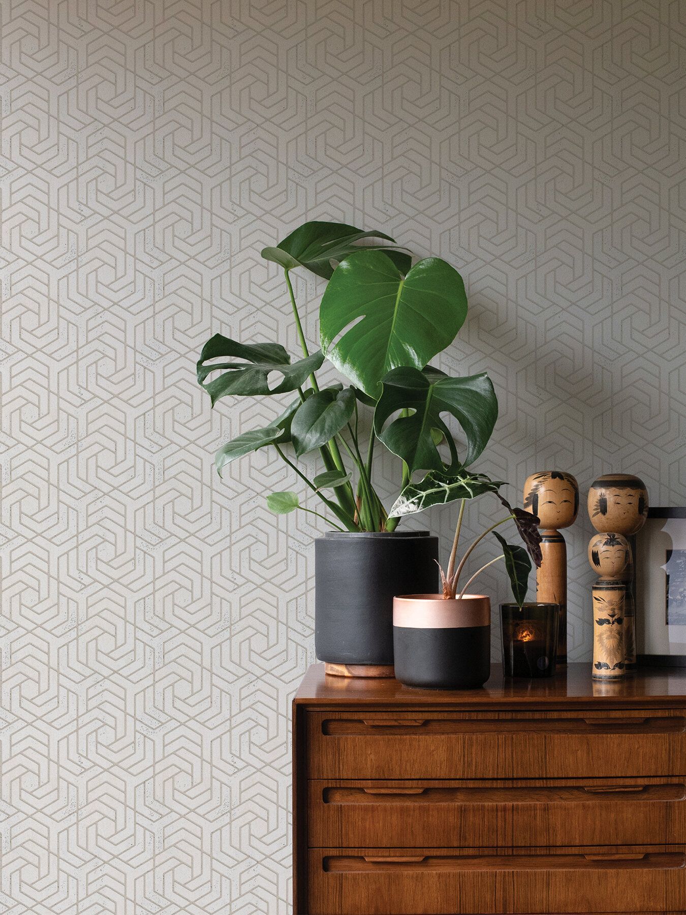 EYE-CATCHING Wallpapers - Top Free EYE-CATCHING Backgrounds ...