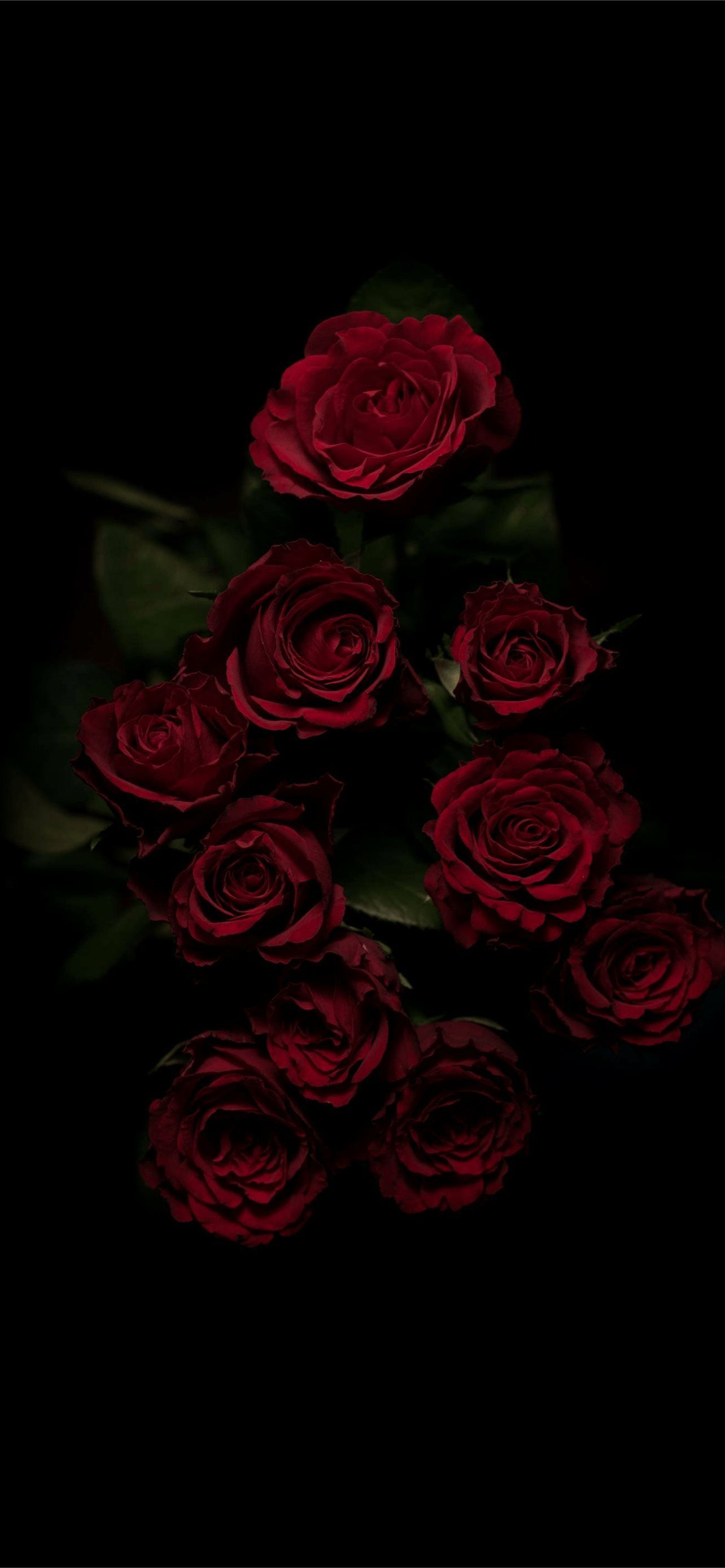 The Sixth Sense Wallpapers - Top Free The Sixth Sense Backgrounds ...