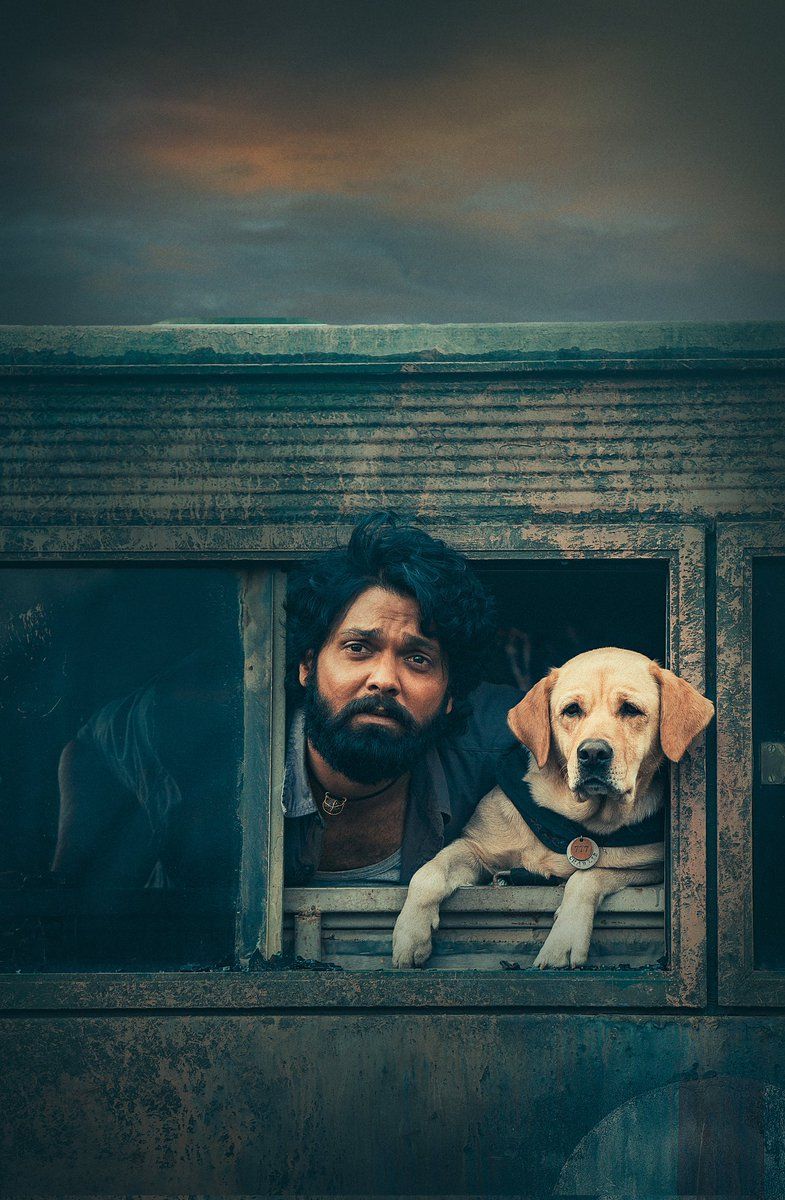 777 Charlie Wallpapers - Top Free 777 Charlie Backgrounds - WallpaperAccess