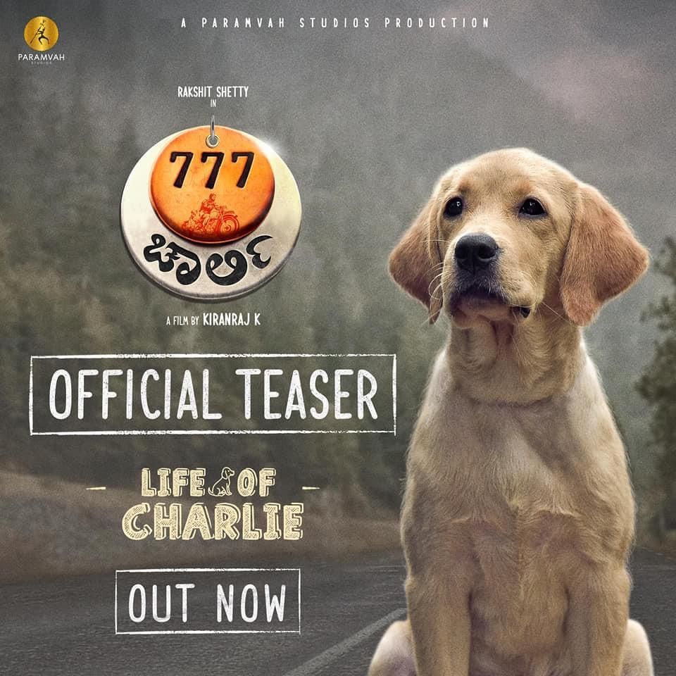 777 Charlie Wallpapers - Top Free 777 Charlie Backgrounds - WallpaperAccess