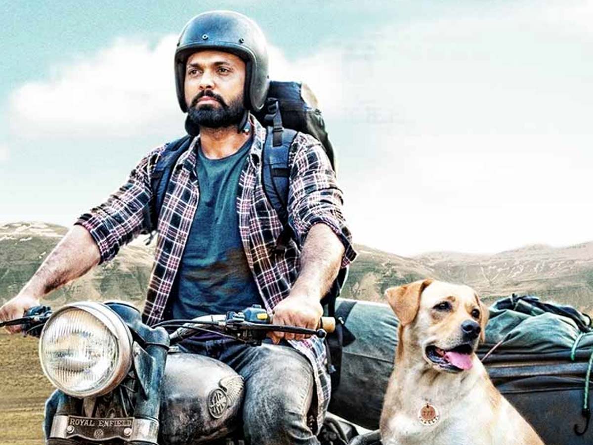 777 Charlie Wallpapers - Top Free 777 Charlie Backgrounds - WallpaperAccess