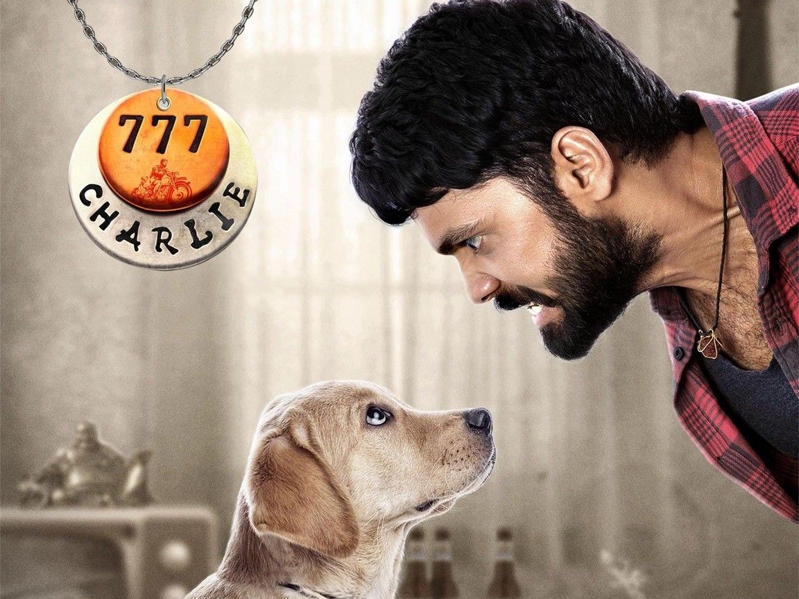 777 Charlie Wallpapers - Top Free 777 Charlie Backgrounds - WallpaperAccess