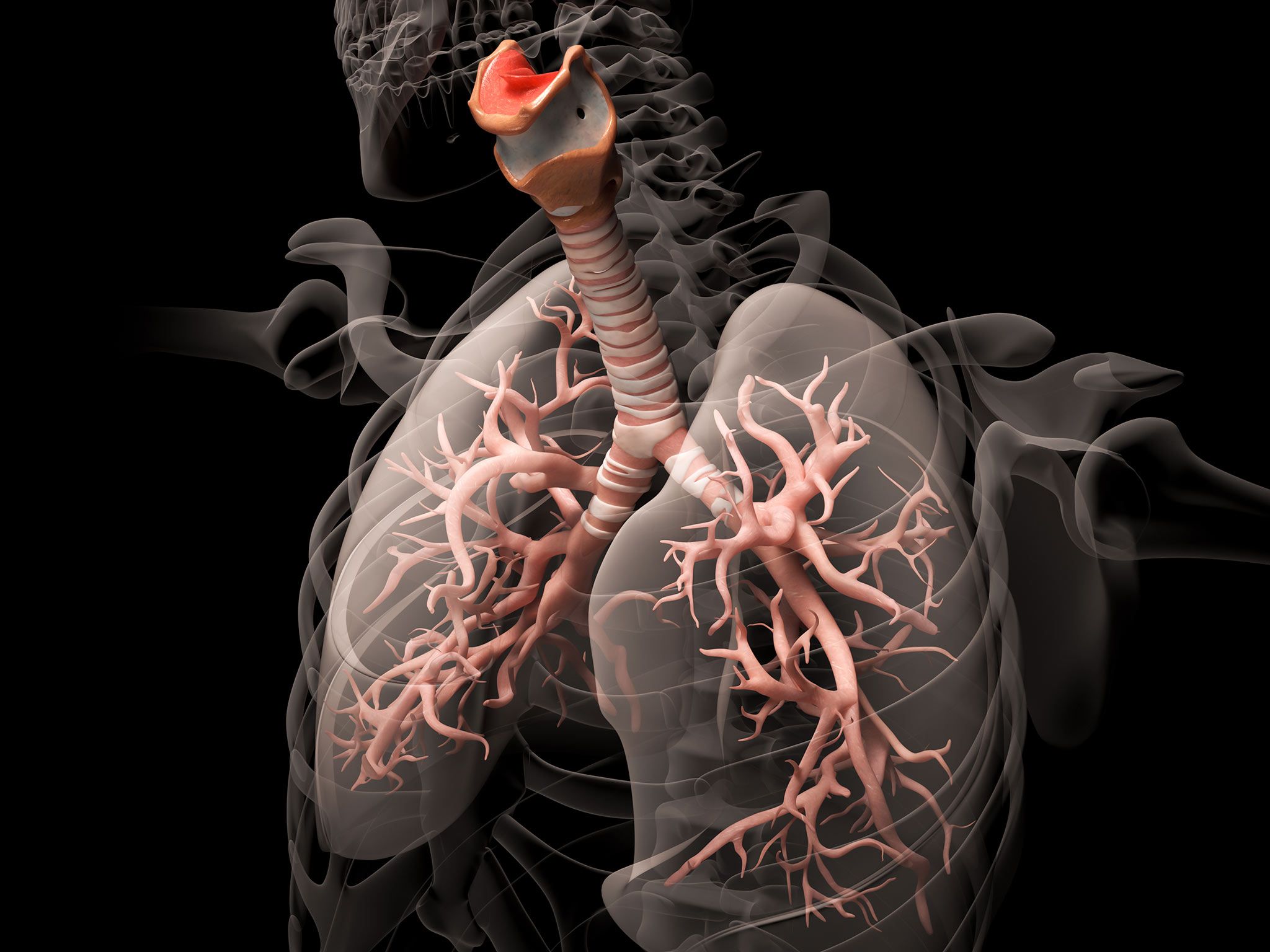 Asthmatic Wallpapers - Top Free Asthmatic Backgrounds - WallpaperAccess