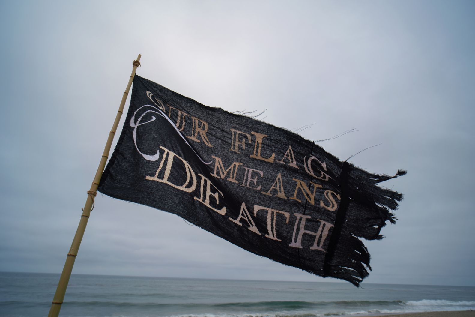 Our Flag Means Death Wallpapers - Top Free Our Flag Means Death ...