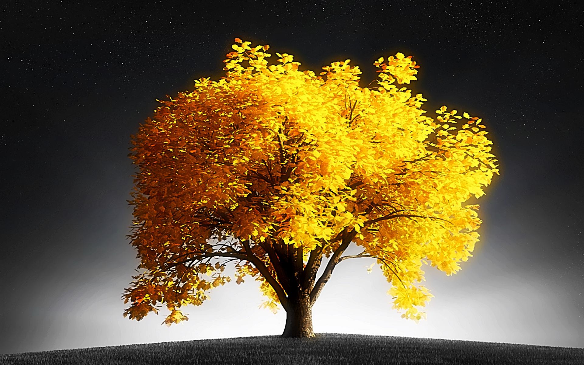 Golden Tree Wallpapers - Top Free Golden Tree Backgrounds - WallpaperAccess