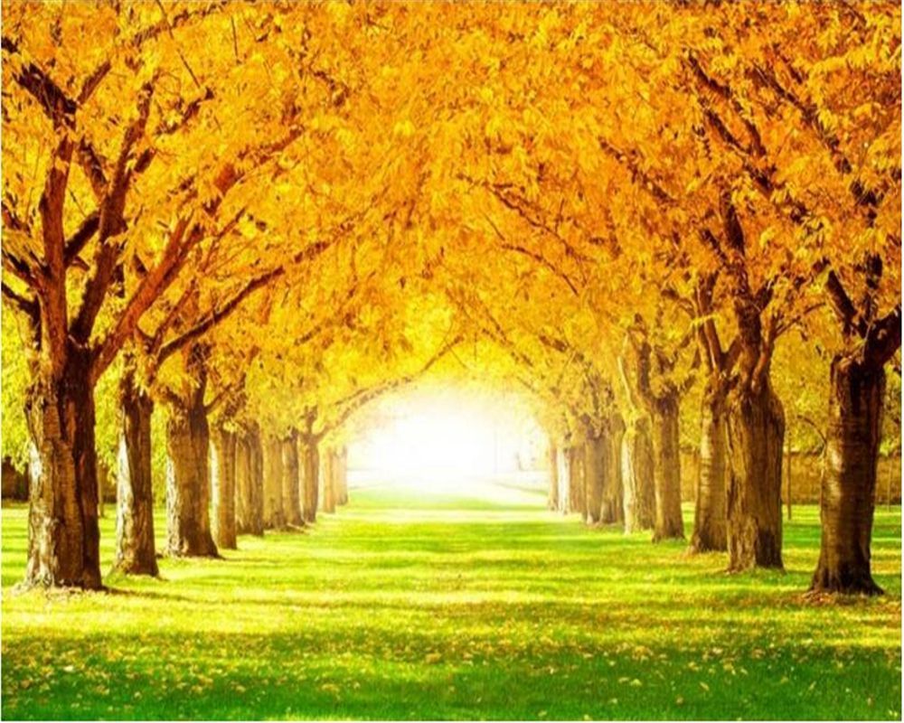 Golden Tree Wallpapers - Top Free Golden Tree Backgrounds - WallpaperAccess