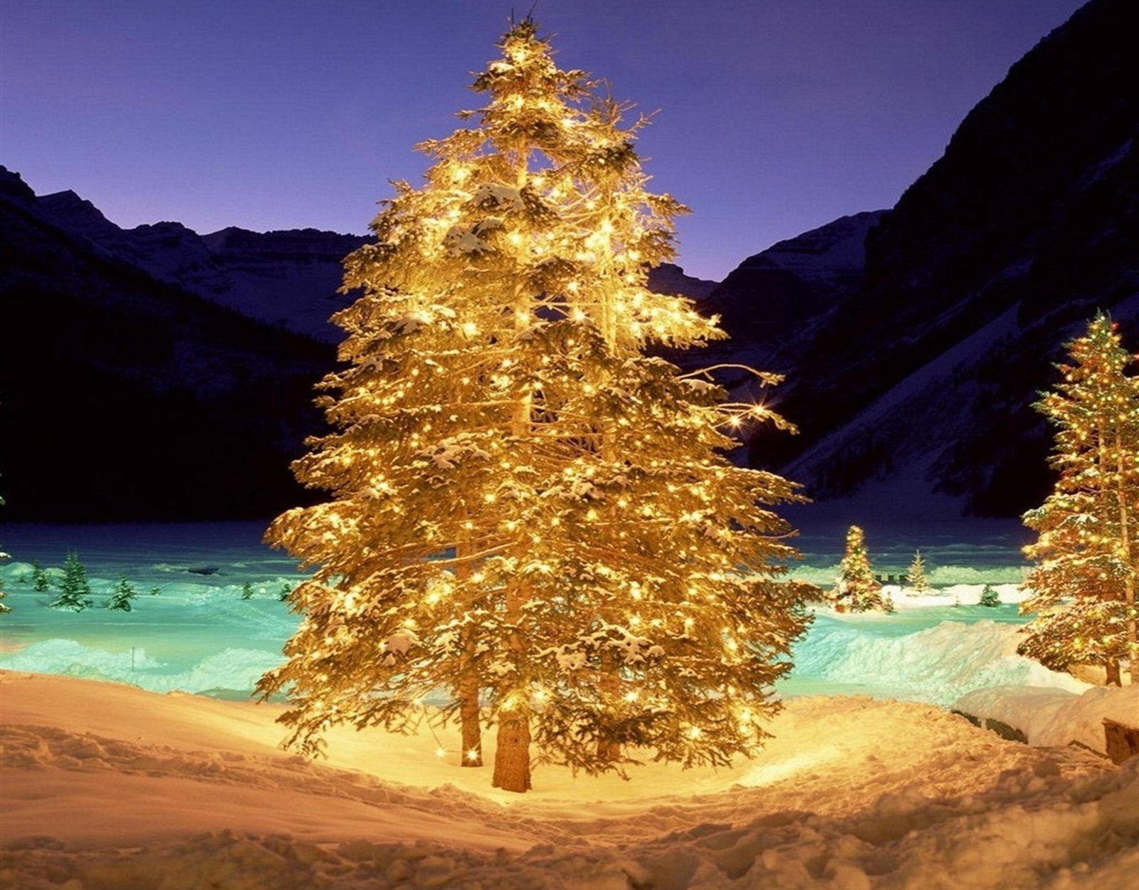 Golden Tree Wallpapers - Top Free Golden Tree Backgrounds - WallpaperAccess