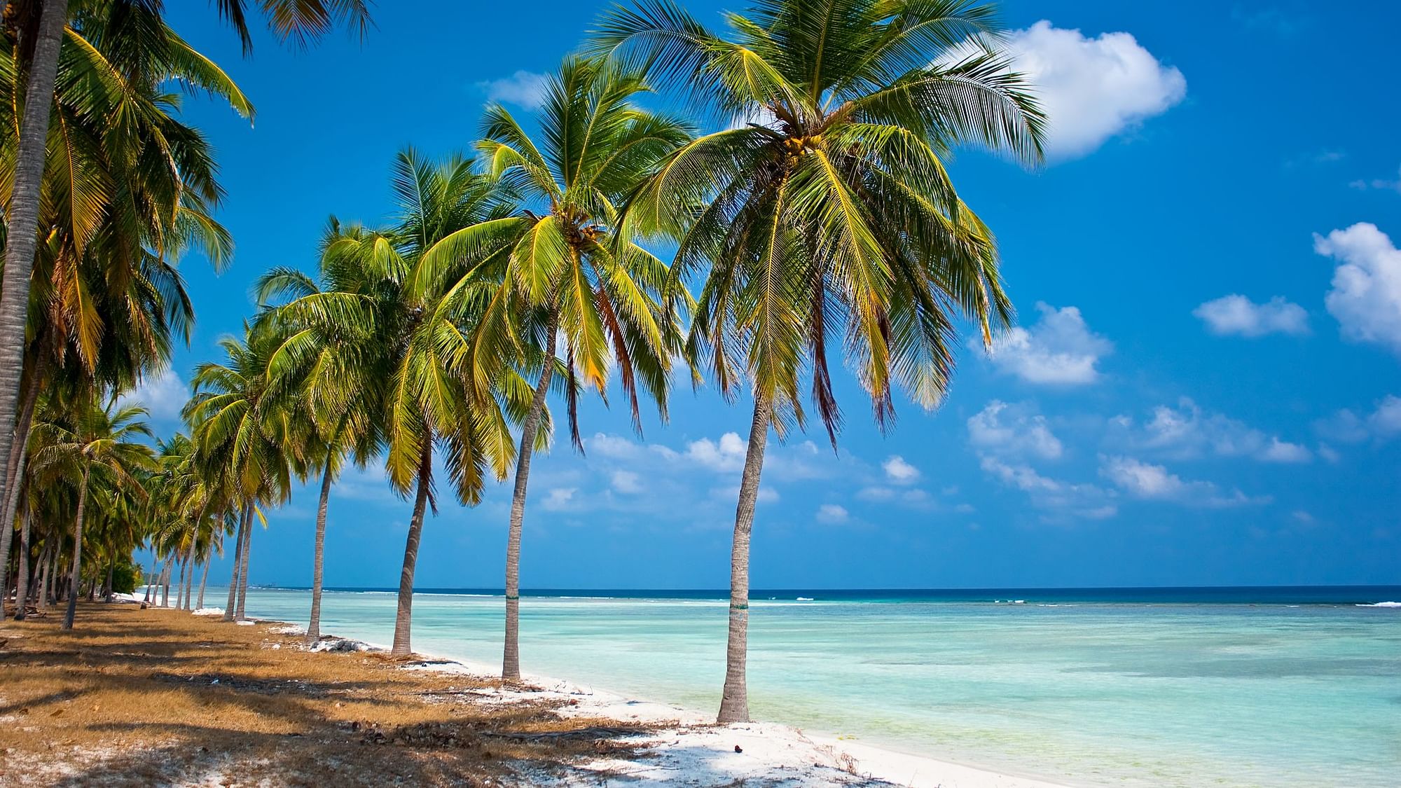 LakshaDweep Wallpapers - Top Free LakshaDweep Backgrounds - WallpaperAccess