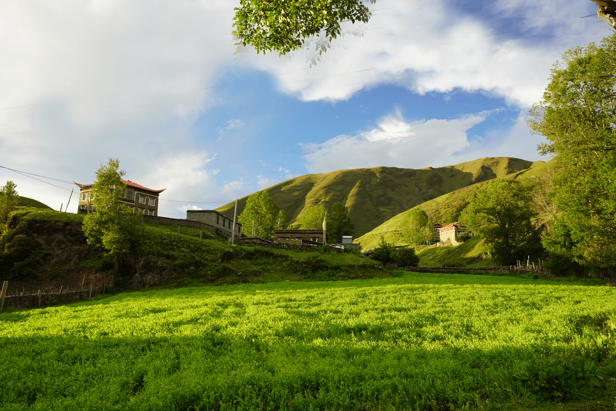 Padang Wallpapers - Top Free Padang Backgrounds - WallpaperAccess